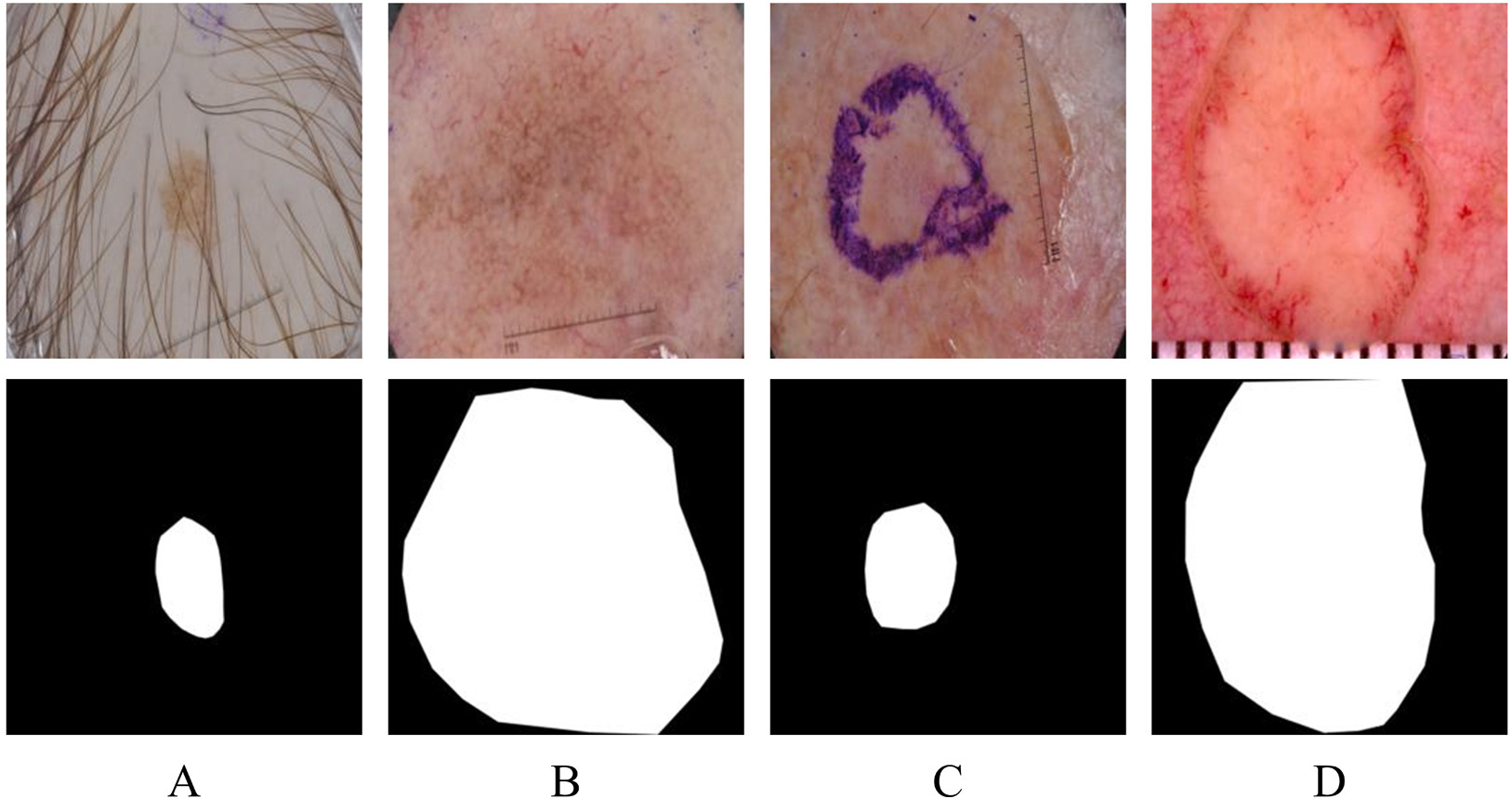 Publications - PrismLab